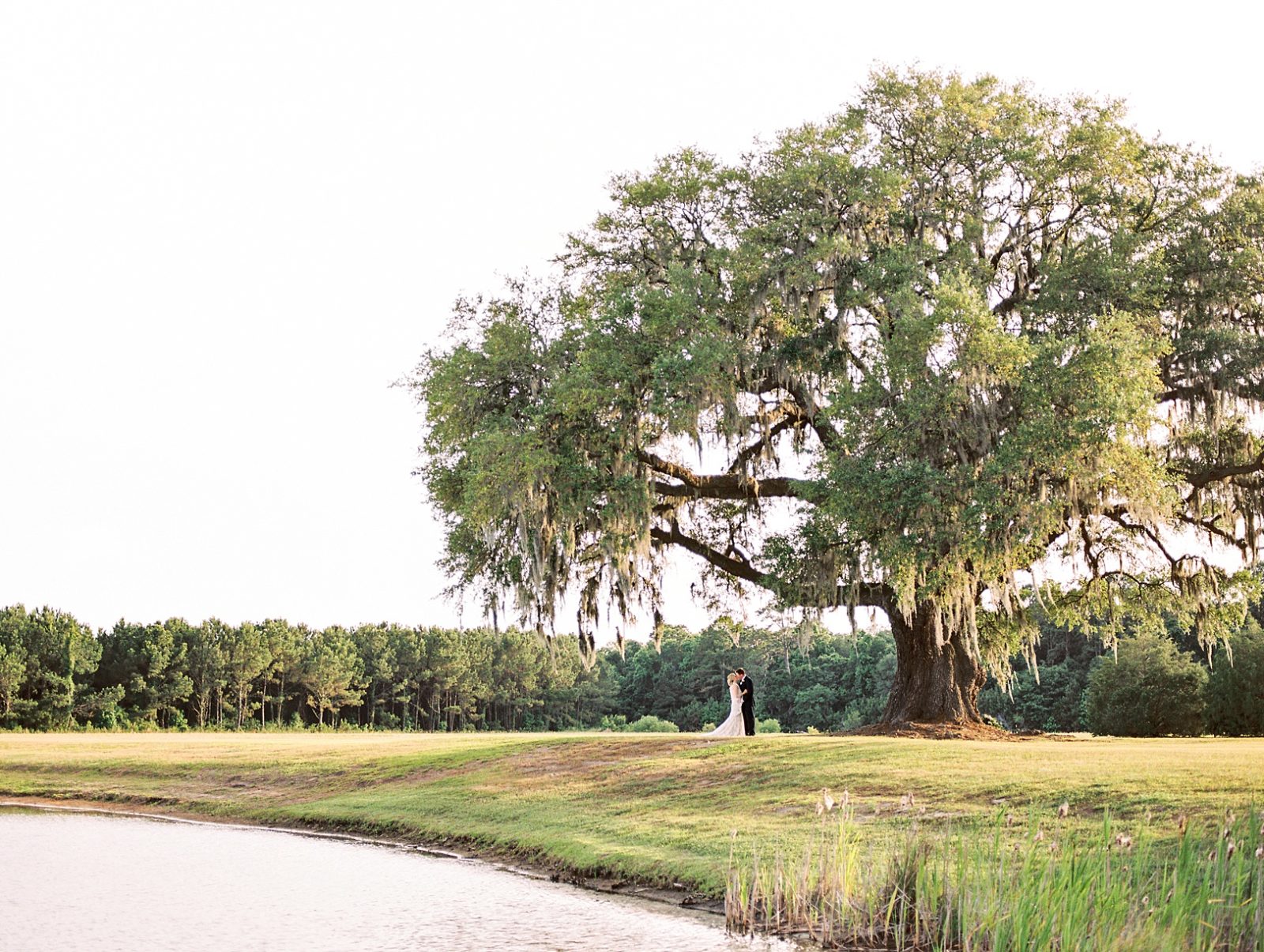 Wingate Plantation Wedding | Katie + Kyle | kaitlinscott.com